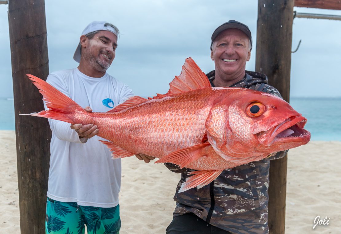 Namotu Island Fish Week | Namotu Island Fiji