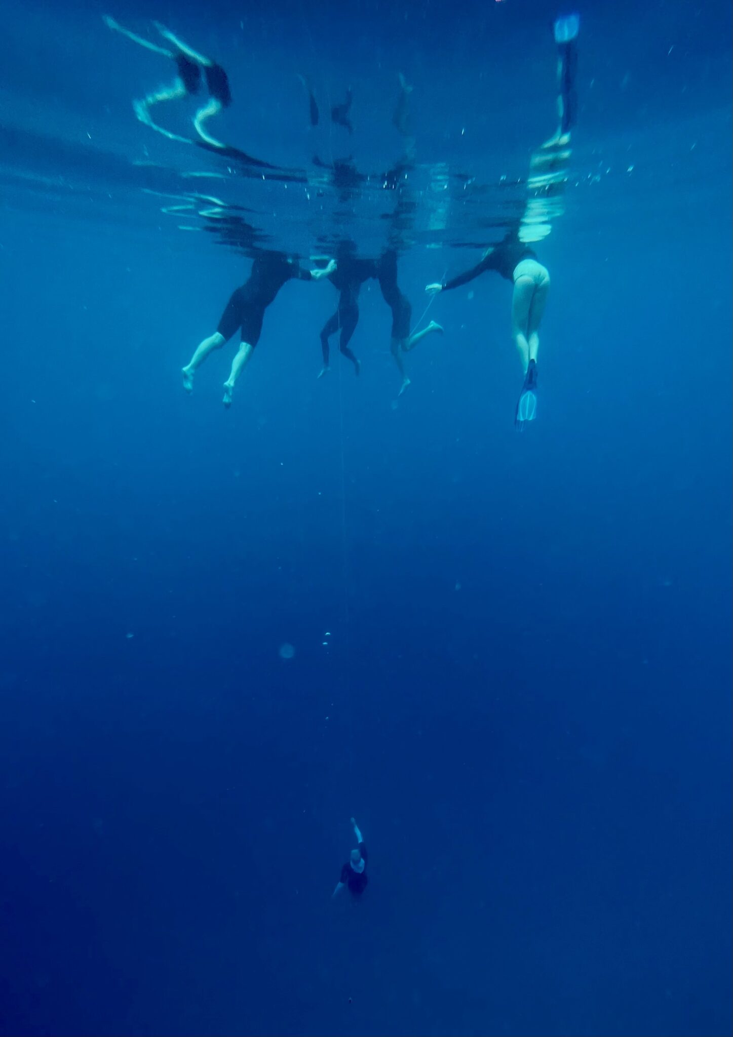 Freediving with Kyron on Unlimited Weeks | Namotu Island Fiji