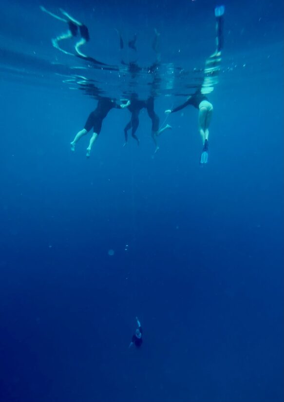 Freediving with Kyron on Unlimited Weeks | Namotu Island Fiji